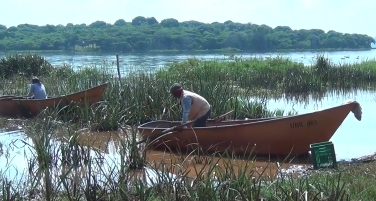 Visserij-ontwikkeling op Lake Fincha - Interkerkelijke Stichting ...